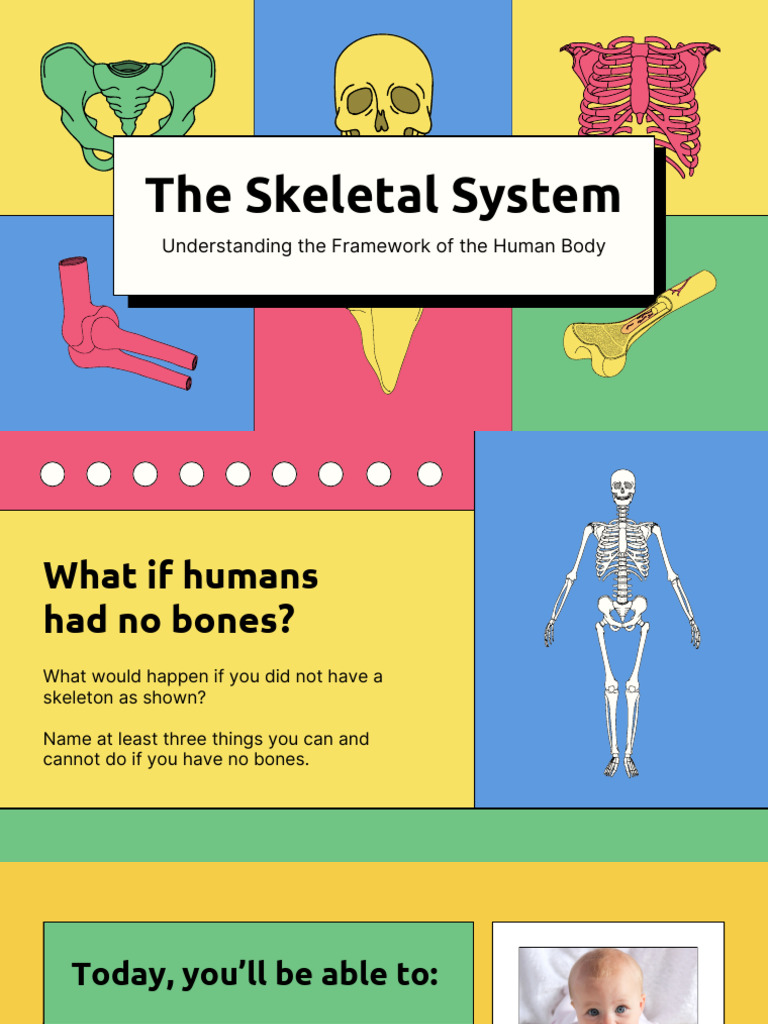The Skeletal System Education Presentation in Green Yellow Simple ...