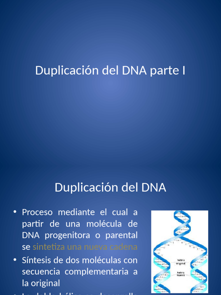 Duplicación Del DNA | PDF | Replicación De Adn | Adn