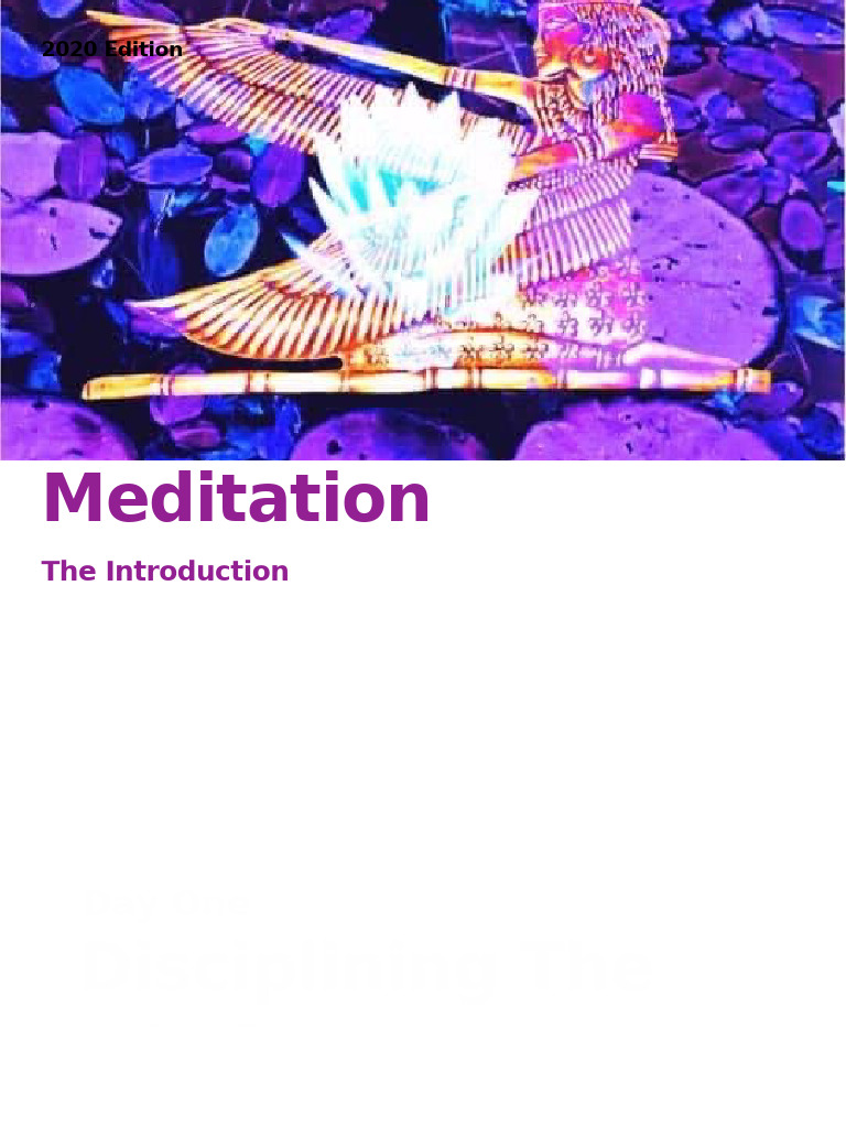 Beginner's Guide to Meditation | PDF | Meditation | Chakra