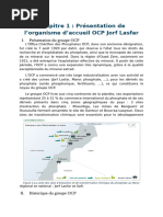 Organigramme Et Filiales de OCP | PDF