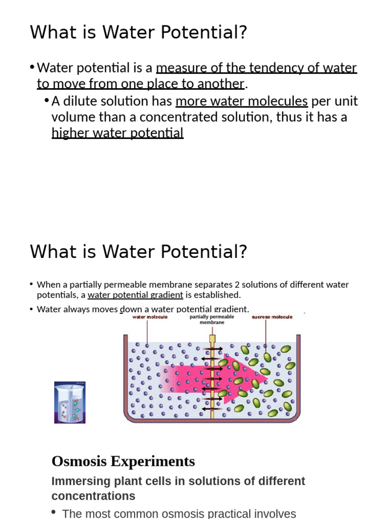 Osmosis Pdf Osmosis Cell Biology
