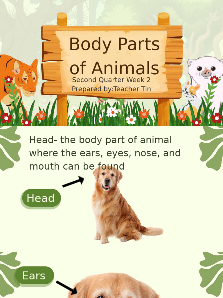 Q2-Week 2-Body Parts of Animals | PDF