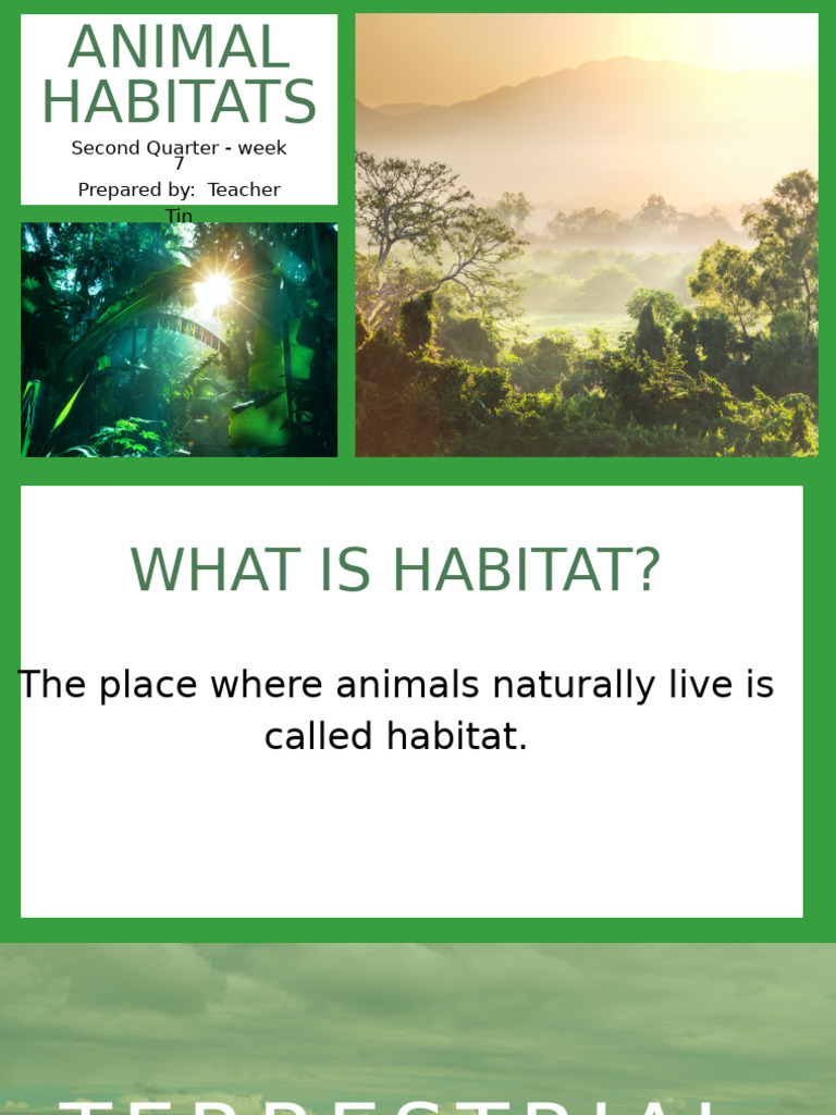 Animal Habitats: Types & Examples | PDF | Habitat | Oceans