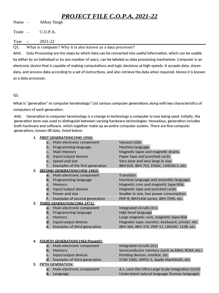 Project C.O.P.A. | PDF | Central Processing Unit | Computer Data Storage
