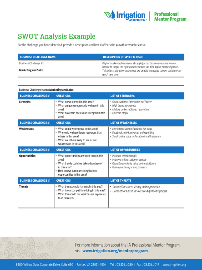 IA PMP - SWOT Analysis Example | PDF | Digital Marketing | Swot Analysis