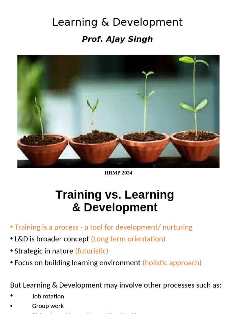 Training and Development Strategies | PDF | Mentorship | Evaluation