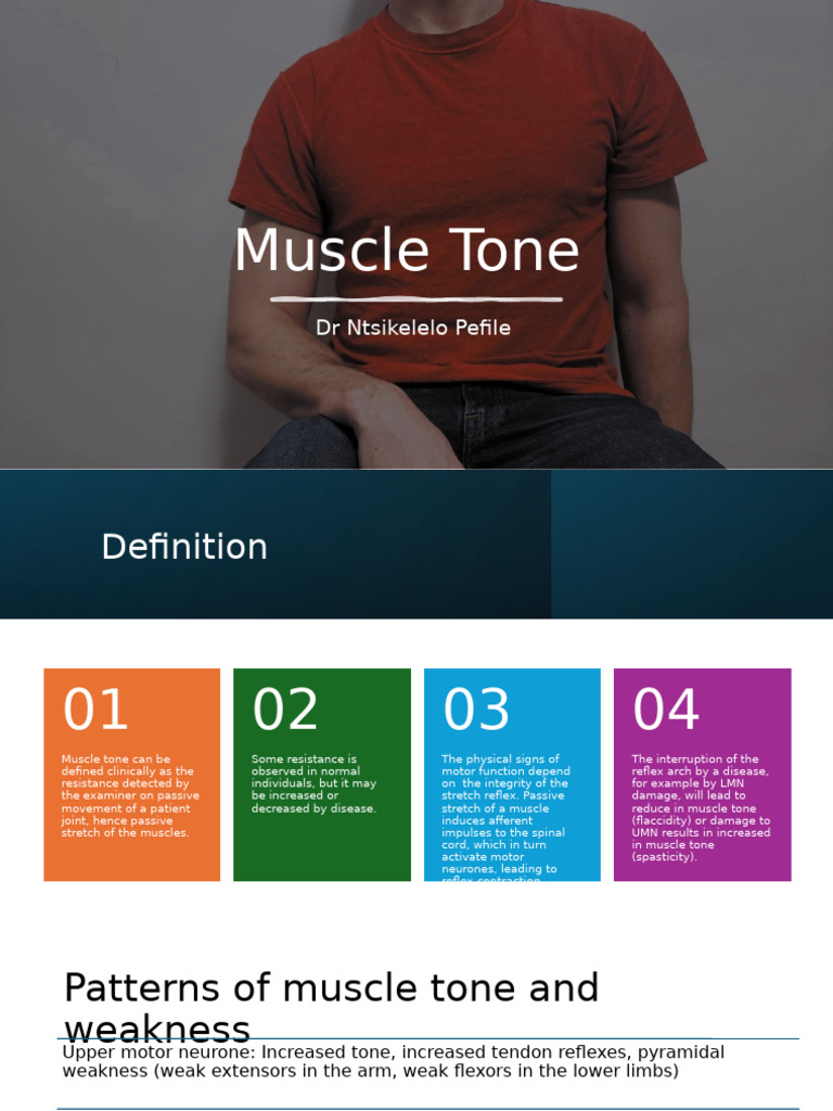 Muscle Tone 2024-1 | PDF | Anatomical Terms Of Motion | Human Anatomy
