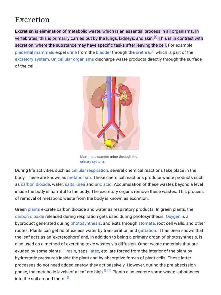 Excretion | PDF | Excretion | Physiology