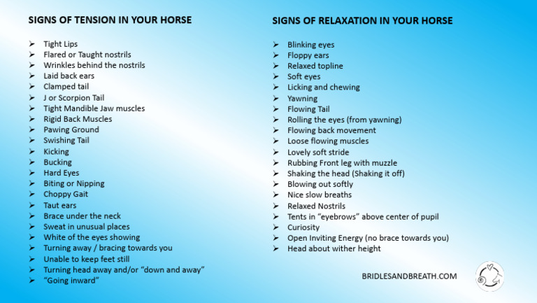 Signs of Tension | PDF