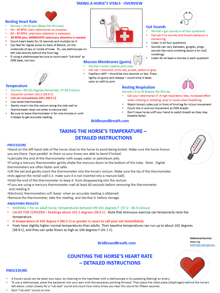 Aoth - Taking Horse - S Vitals | PDF | Pulse | Breathing