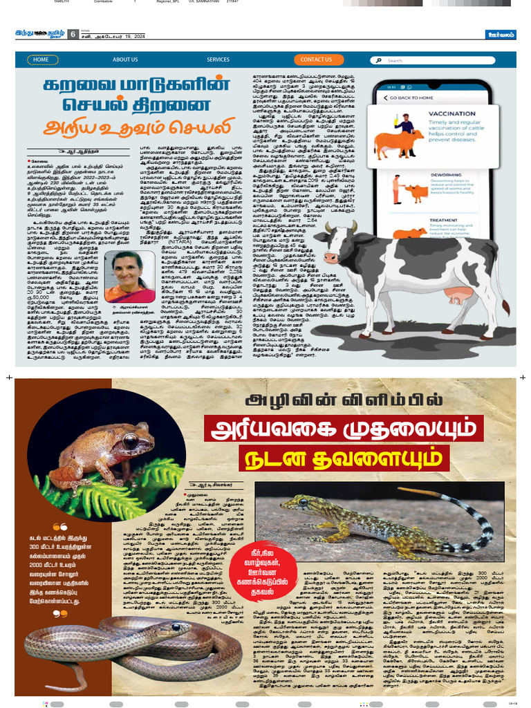 TAMILTH_19-10-2024_Coimbatore_1_Regional_SPL | PDF