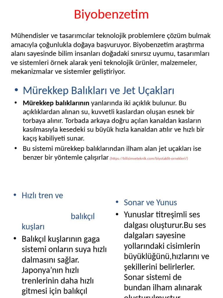 Biyo Benzetişim | PDF