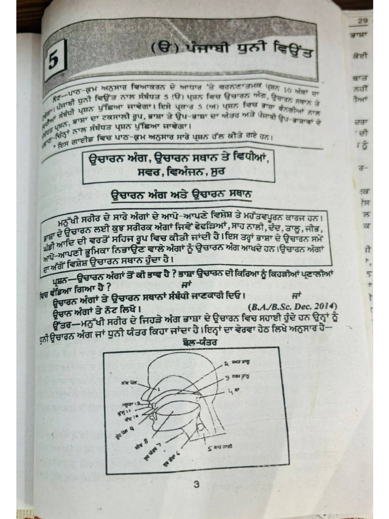 punjabi grammar | PDF
