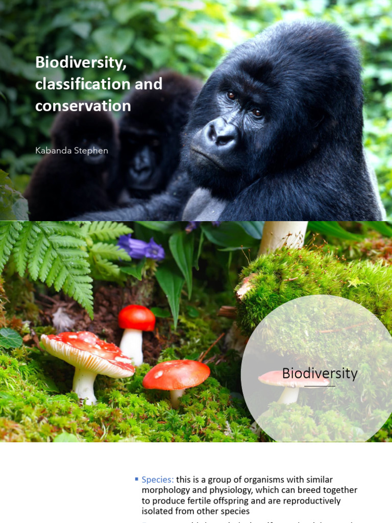 Biodiversity, Classification and Conservation | PDF | Cell (Biology ...