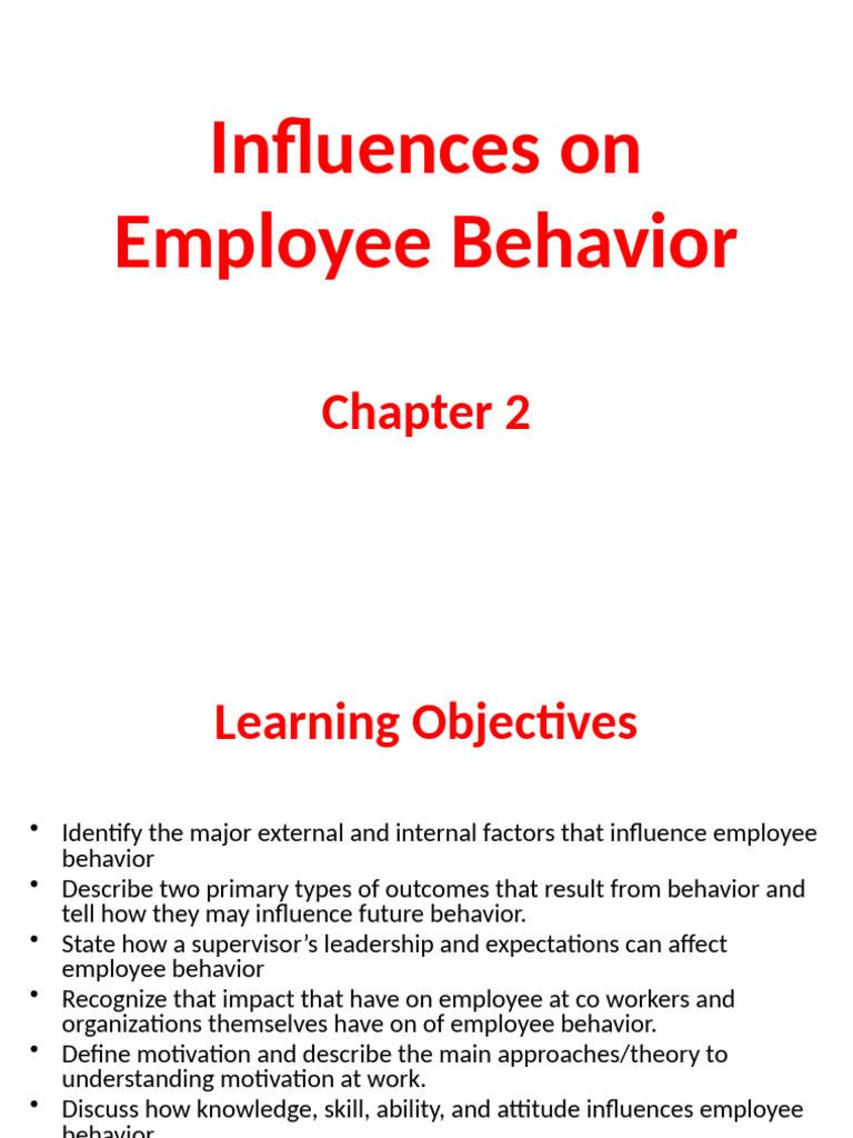 Factors Influencing Employee Behavior | PDF | Motivation | Motivational