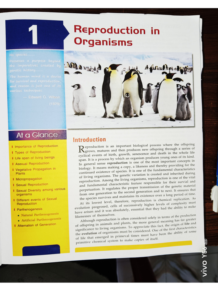 Reproduction in Organisms ? | PDF