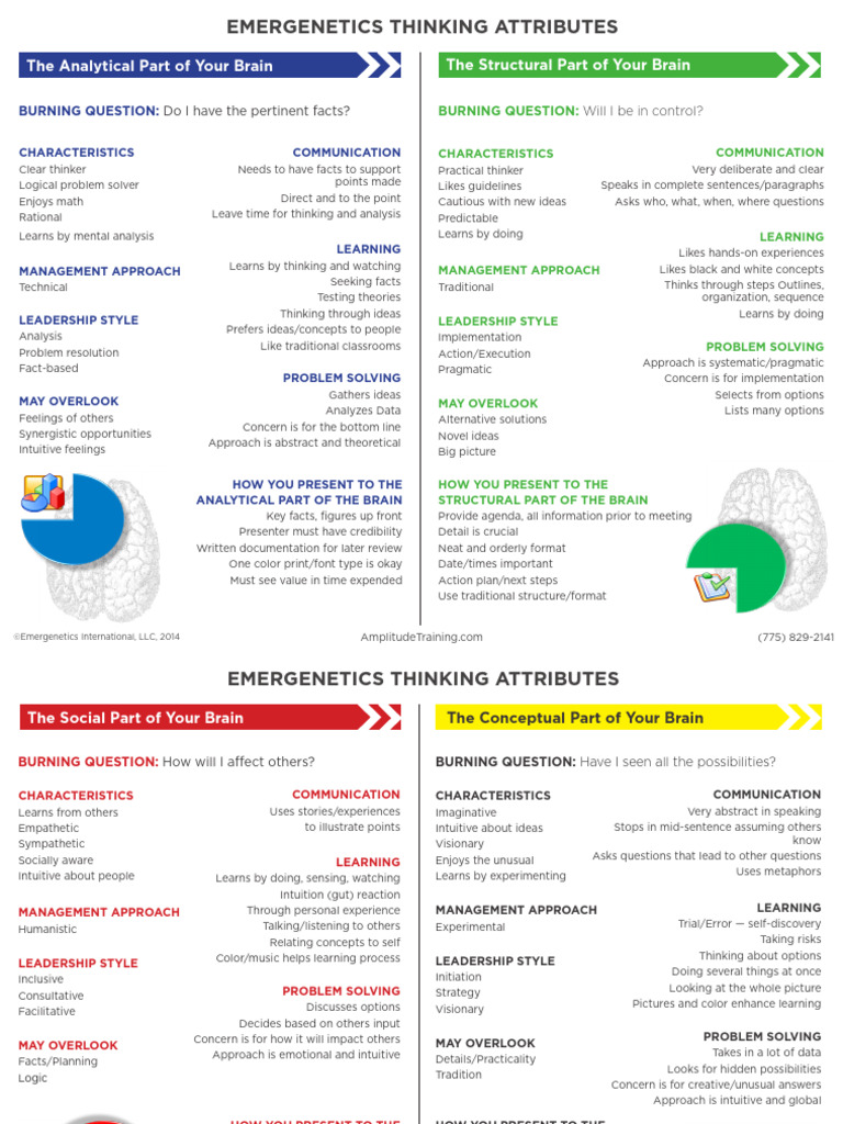 Emergenetics Thinking Attributes Handout - Amplitutde | PDF | Concept ...