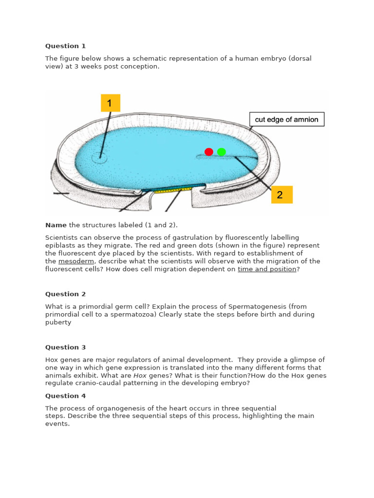 EDB Final Exam Example Questions - 2024 | PDF | Self-Improvement ...