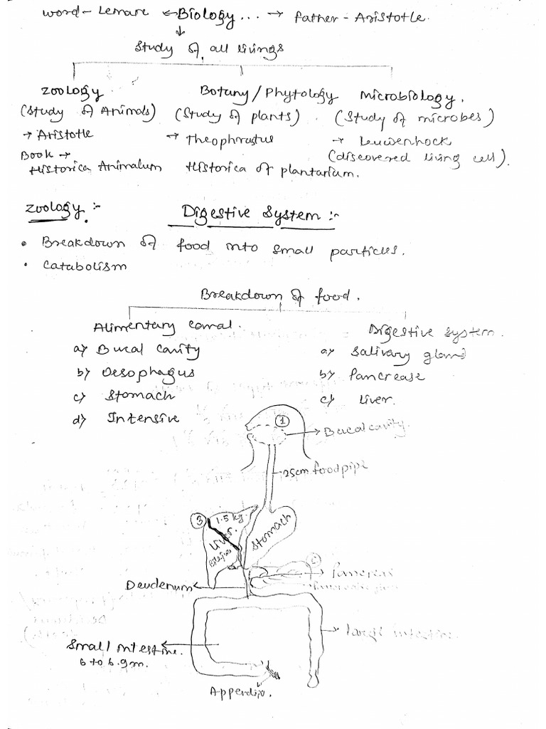 Biology Hand Written Notes ? | PDF