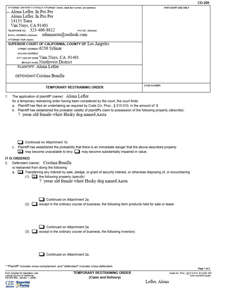 Temporary Protective Order | PDF | Common Law | Justice