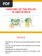 Female Pelvis Diameters Explained | PDF