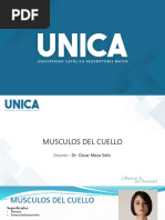 Musculos de La Nuca | PDF | Anatomía humana | Sistema musculoesquelético
