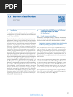 AO/OTA Fracture Classification Guide | PDF | Injury | Skeletal System