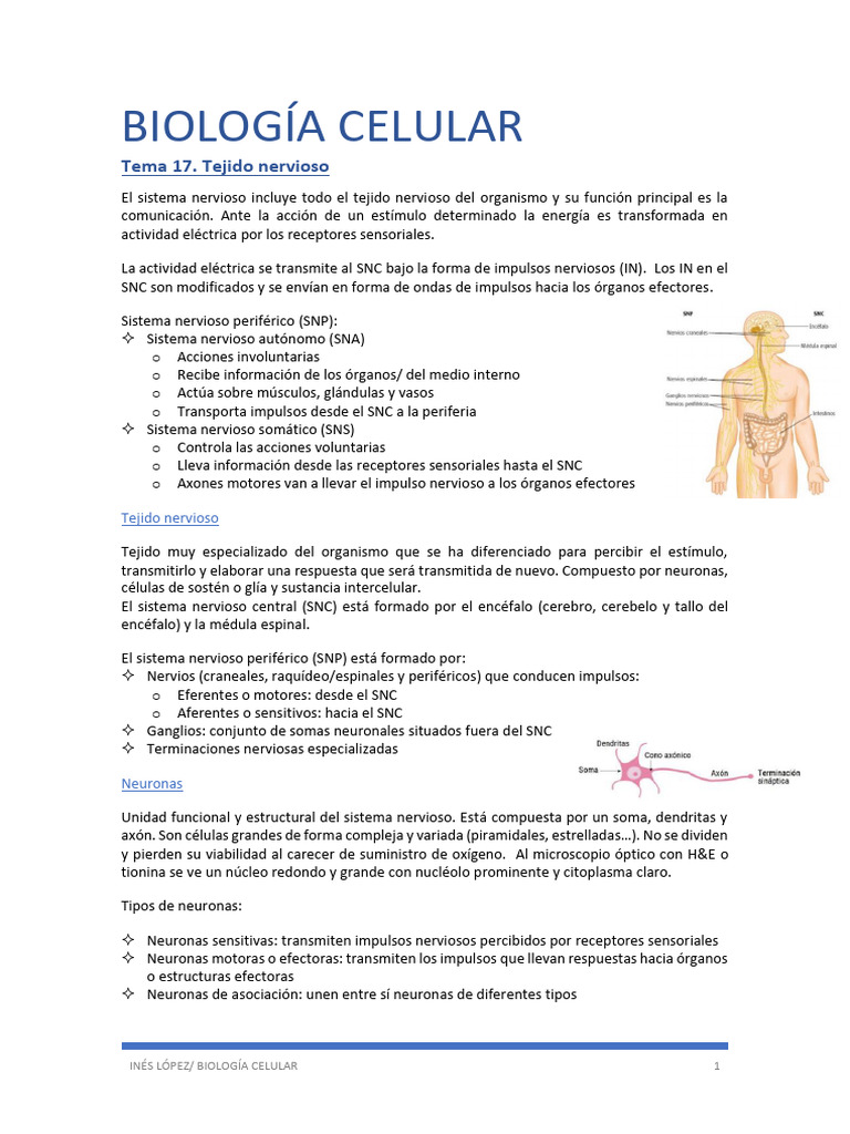 bio 17-gulag-free | PDF | Sistema nervioso | Axon
