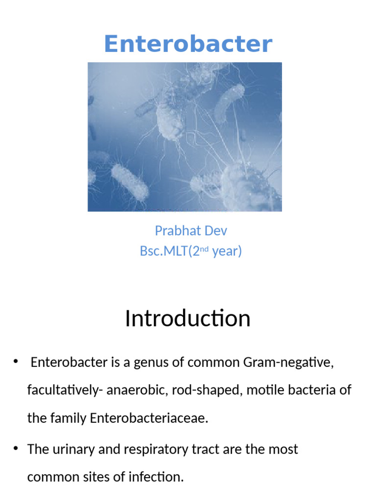 Enterobacter PD | PDF | Sepsis | Lipopolysaccharide