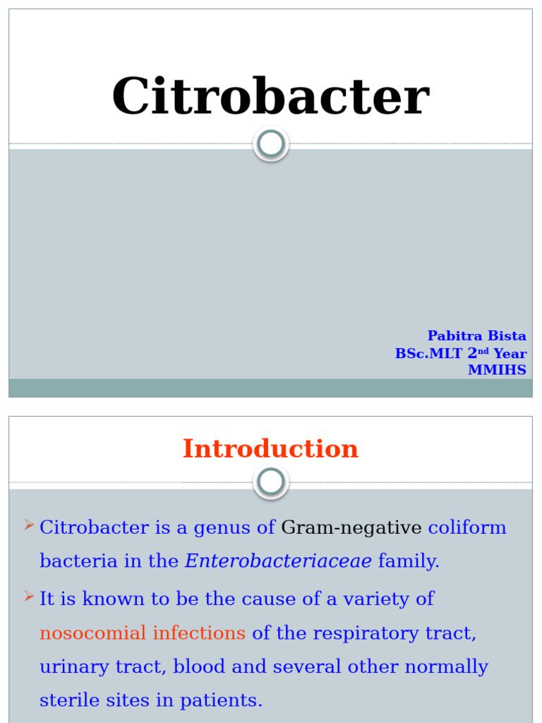 CITROBACTER | PDF | Infection | Hospital Acquired Infection