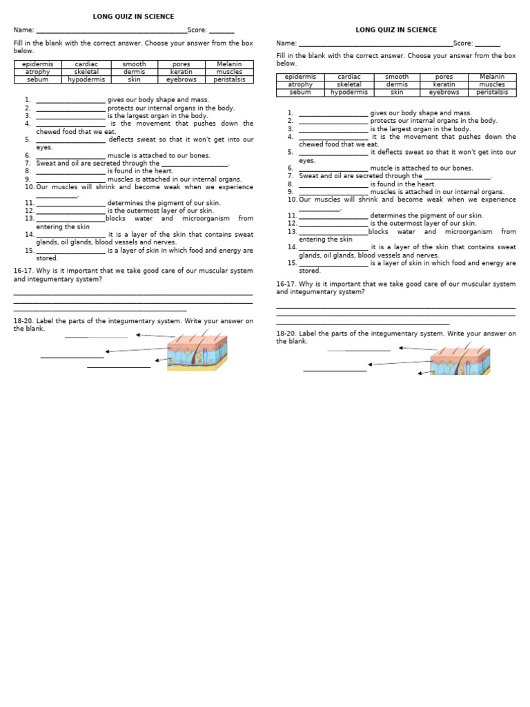 Long Quiz in Science | PDF | Skin | Integumentary System