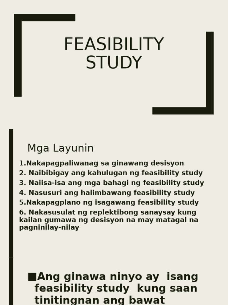 Feasibility Study | PDF