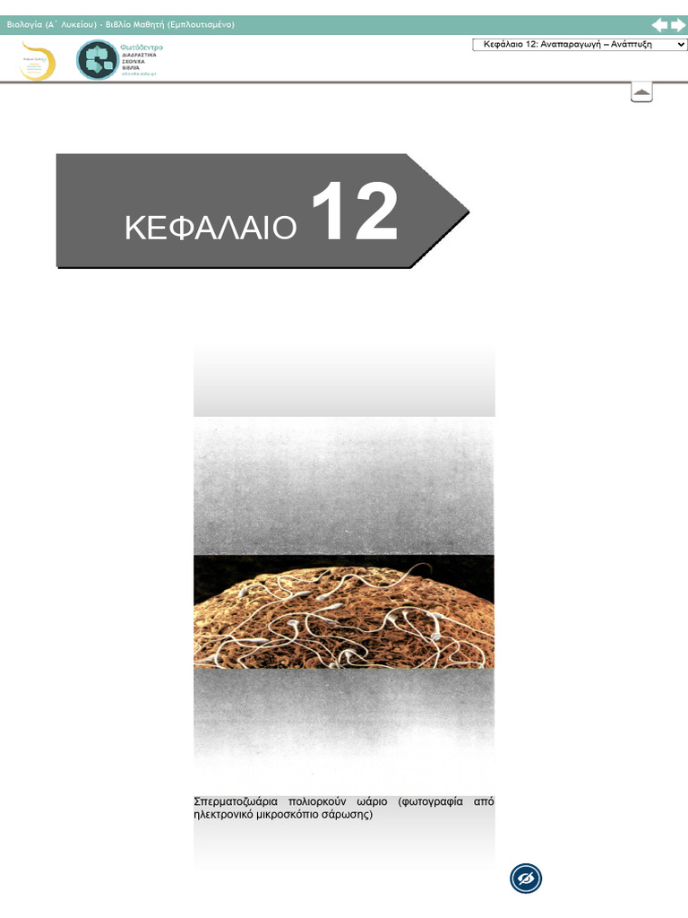 12. ΑΝΑΠΑΡΑΓΩΓΗ - ΑΝΑΠΤΥΞΗ | PDF