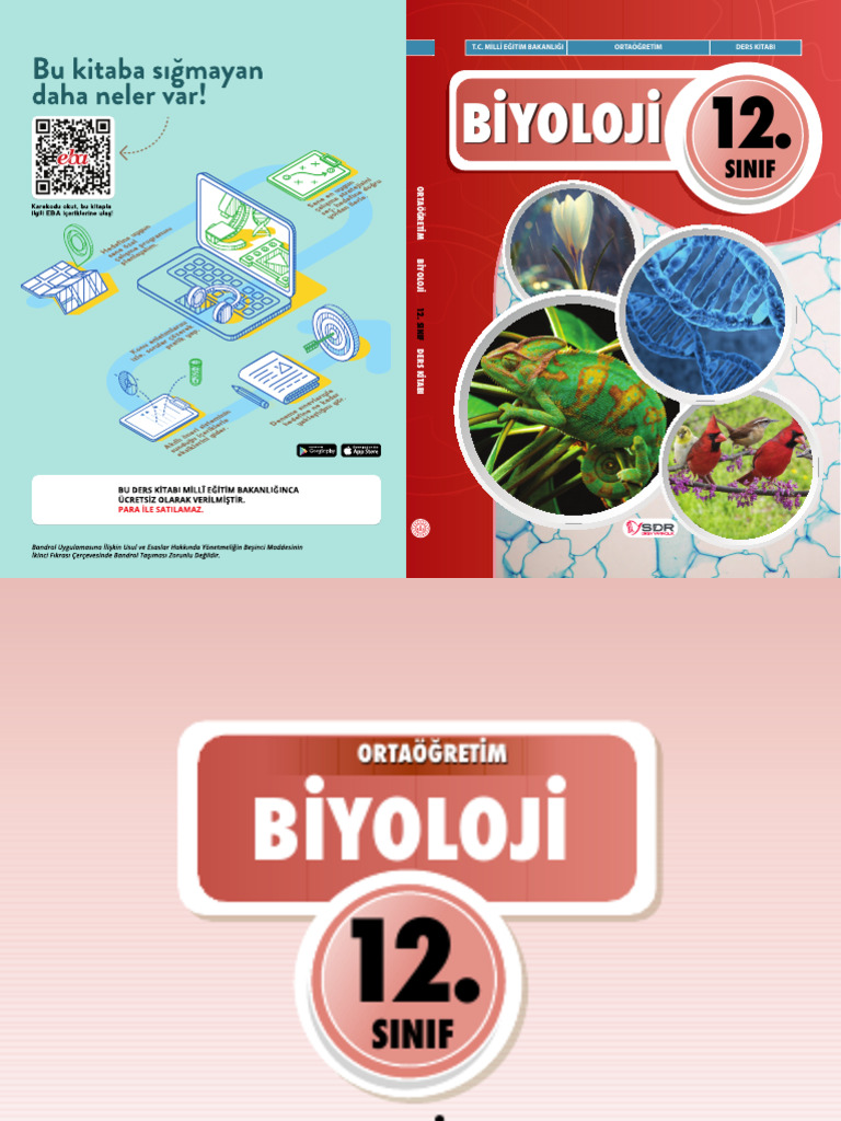 Biyoloji | PDF