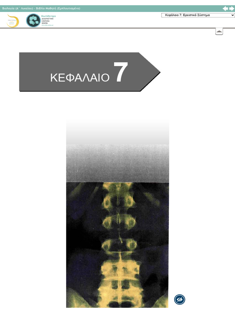7. ΕΡΕΙΣΤΙΚΟ ΣΥΣΤΗΜΑ | PDF