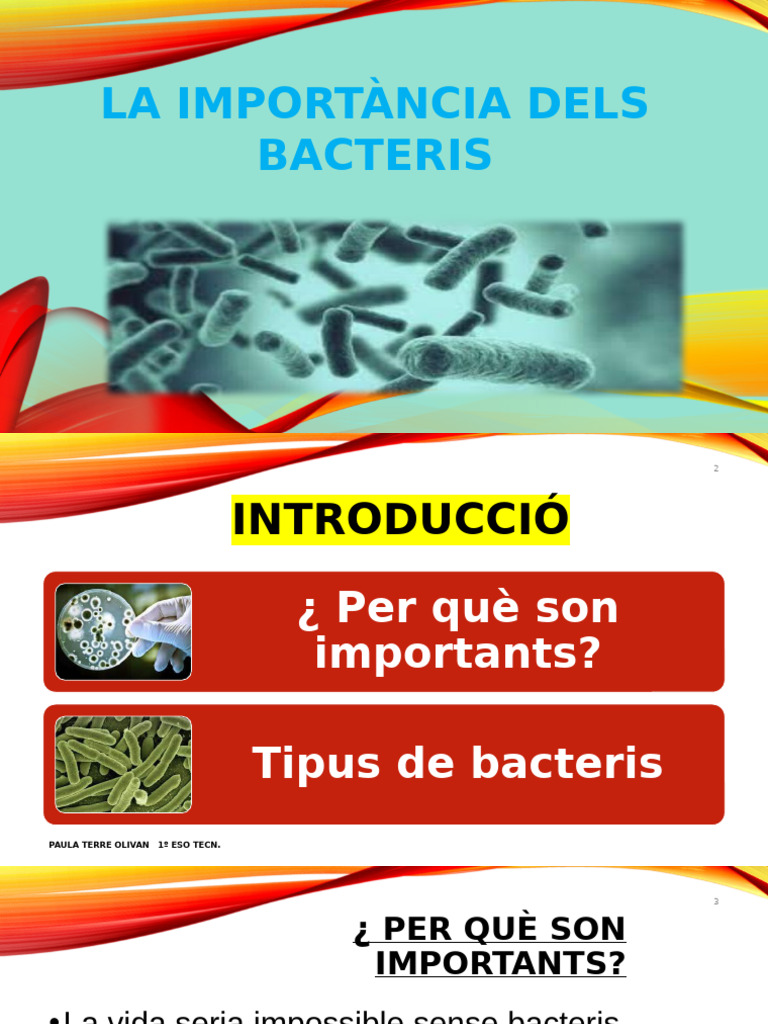 Els Bacteris Tipus I La Seva Importància | PDF