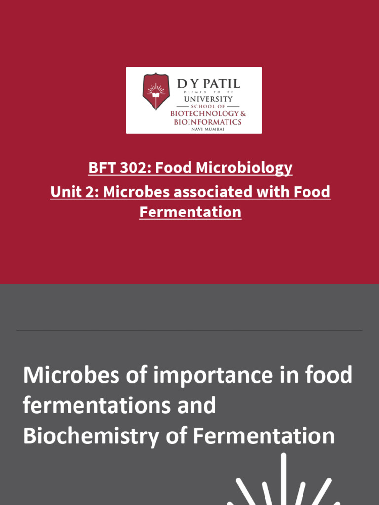 Microbes Associated With Food Fermentation Part 2 | PDF | Brewing ...