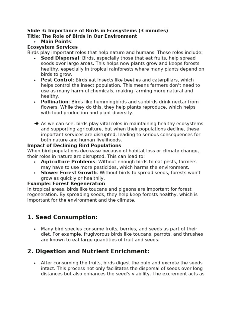 Speaking Project | PDF | Seed | Spider