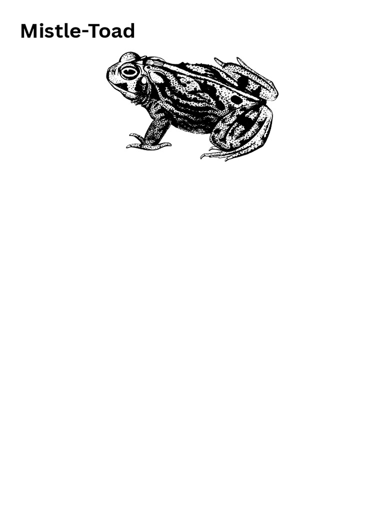 Mistle Toad | PDF
