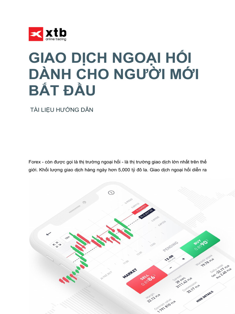 Fx Beginner Guide Vn Pdf