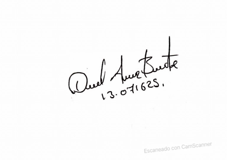 Firma Basante | PDF