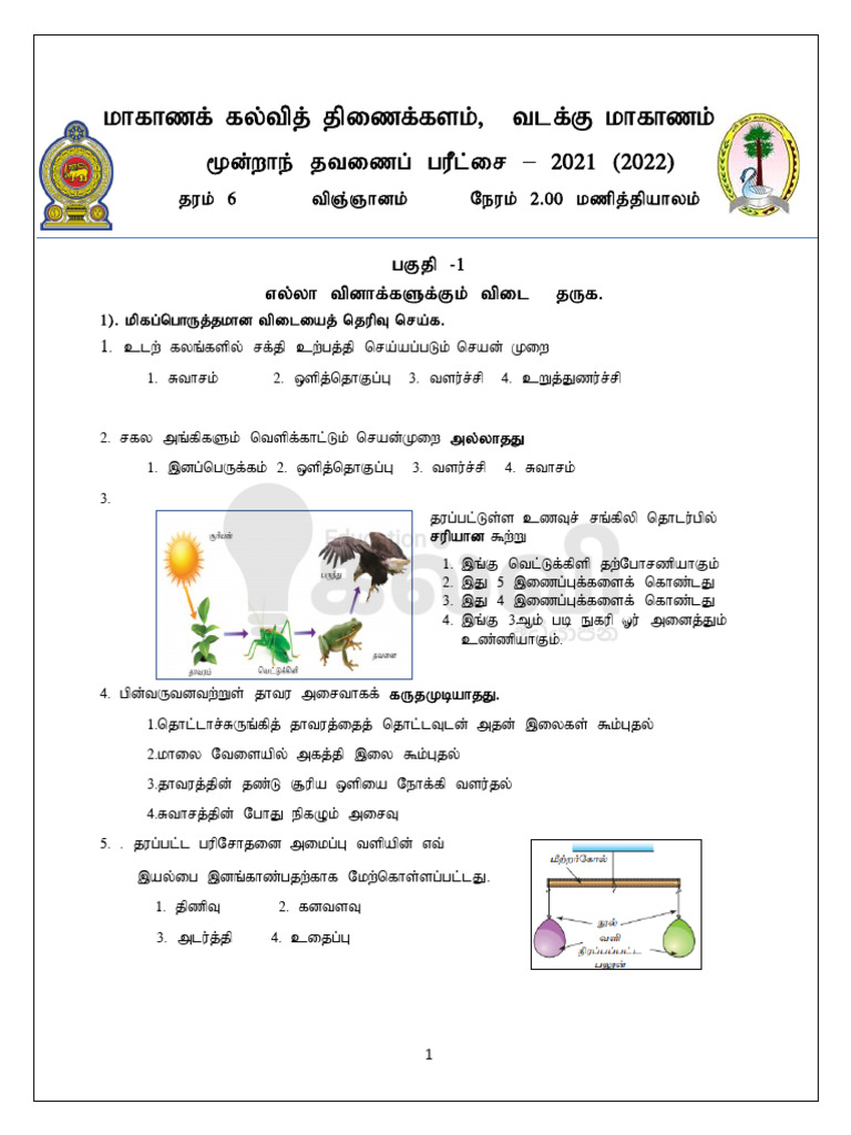 Gr6 Ta Science 2021 Term 3 | PDF