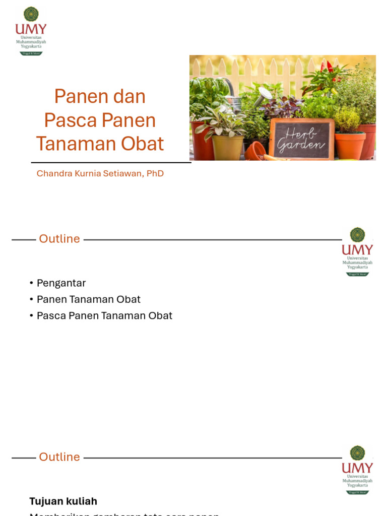 Teknik Panen dan Pasca Panen Tanaman Obat | PDF