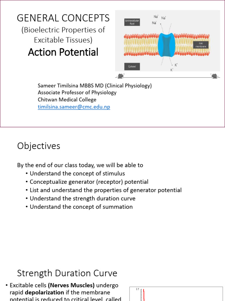 Bioelectric Properties of Excitable Tissues | PDF | Action Potential ...