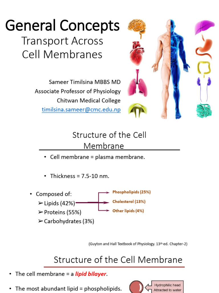 Cell Transport Pdf Cell Membrane Ion Channel