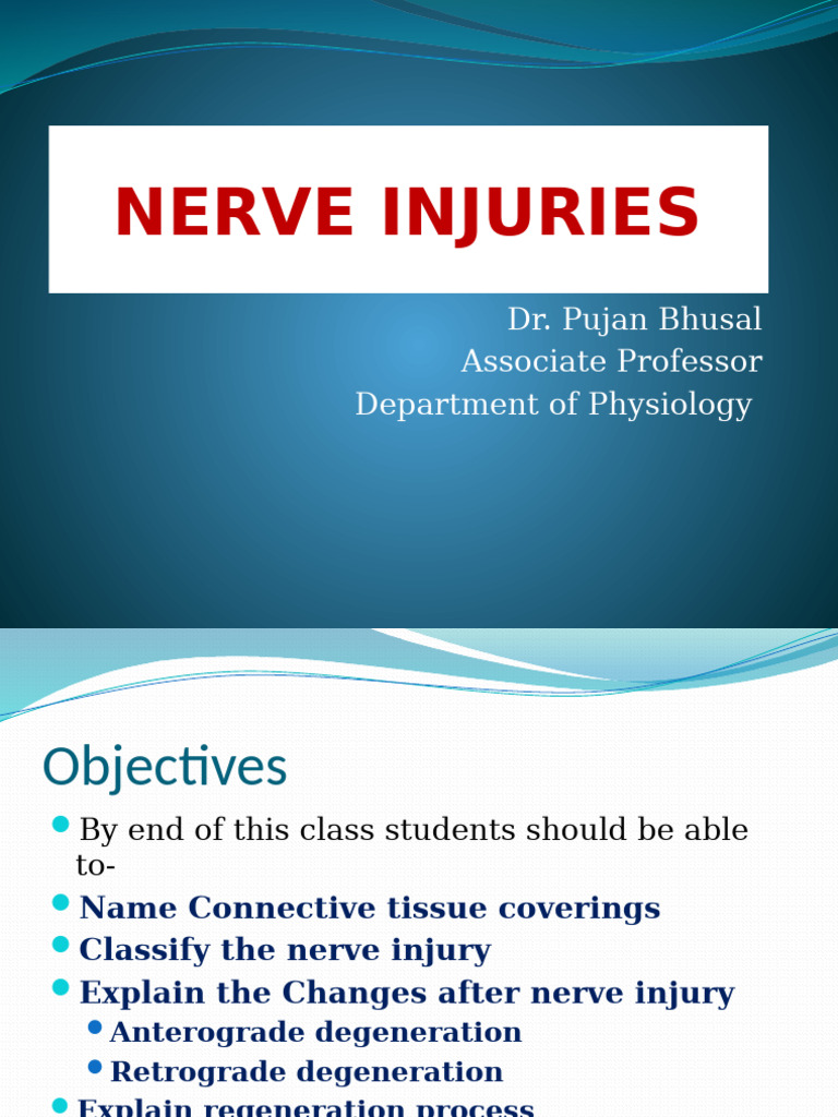 Nerve Injuries | PDF | Axon | Nerve