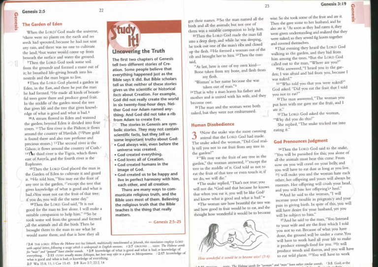 Bible Story Adam & Eve | PDF