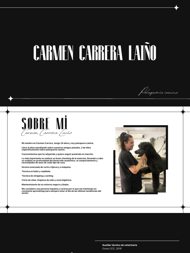 Portfolio Carmen Carrera Laiño | PDF