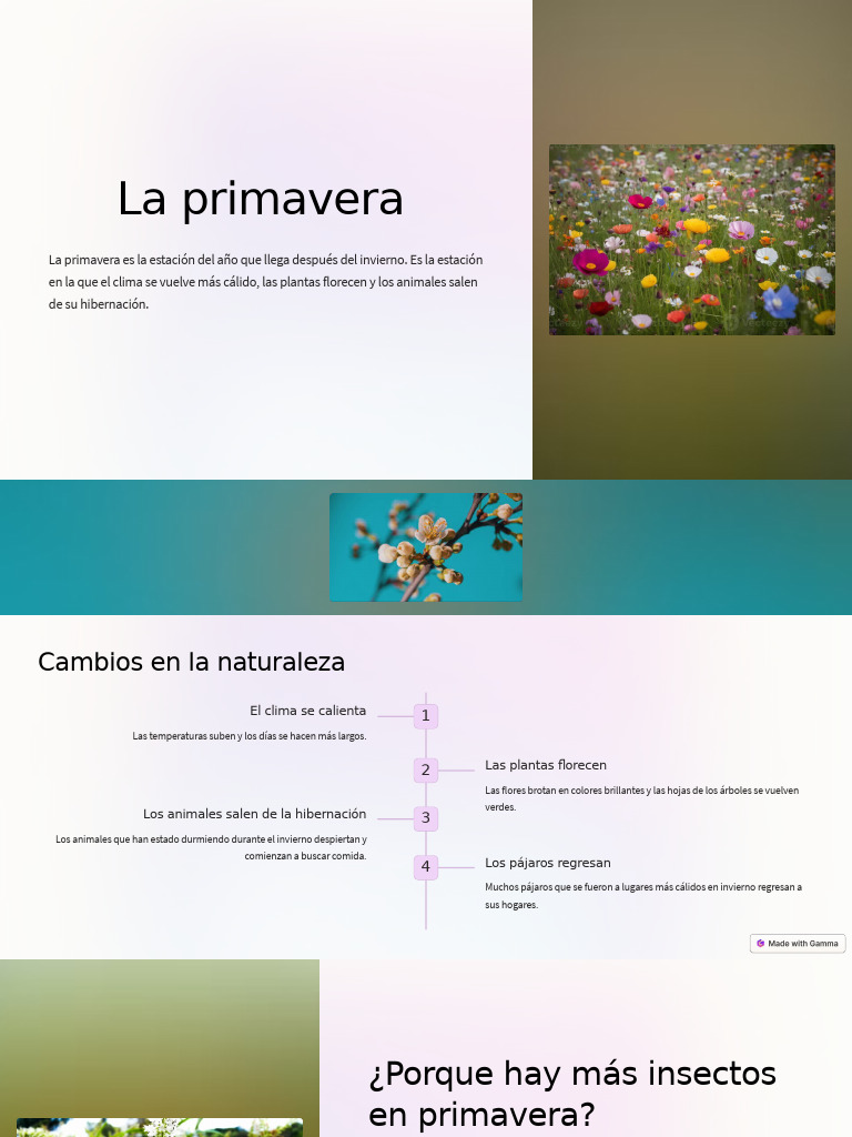 La-primavera | PDF