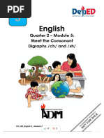 Grade 3 Digraphs 9r3 | PDF